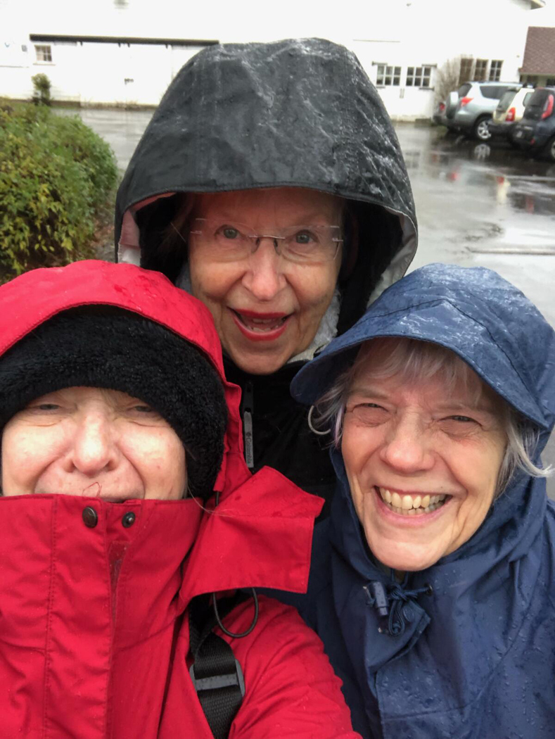 CHAT AND STROLL 10:00 am...... IN PERSON - Events - WLLO Village