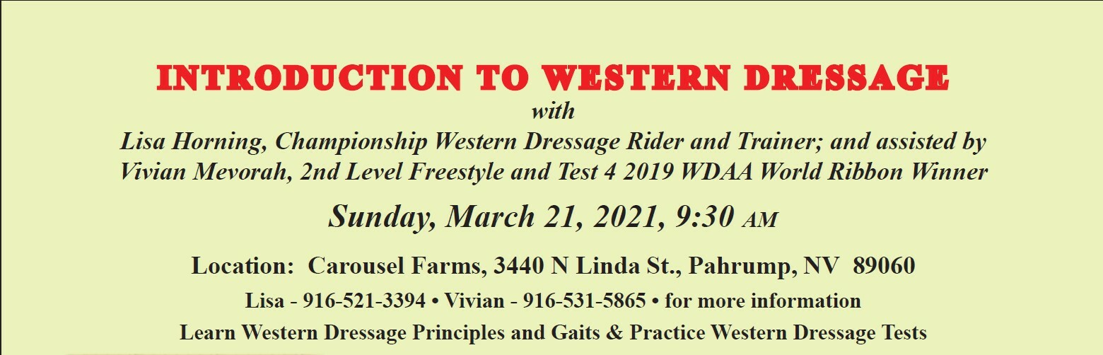 Introduction to Western Dressage w/ Lisa Horning & Vivian Mevorah ...