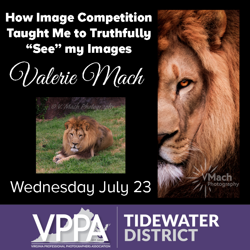 Tidewater - How Image Competition Taught Me to Truthfully “See” my ...