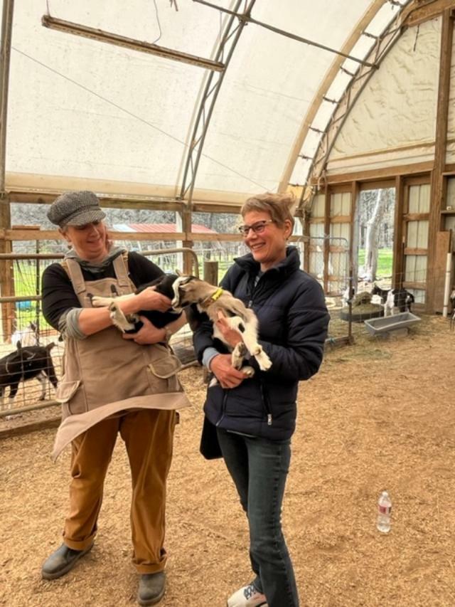 Celebrity Dairy Farm tour and Lunch with Baby Goats - Activities/Events ...