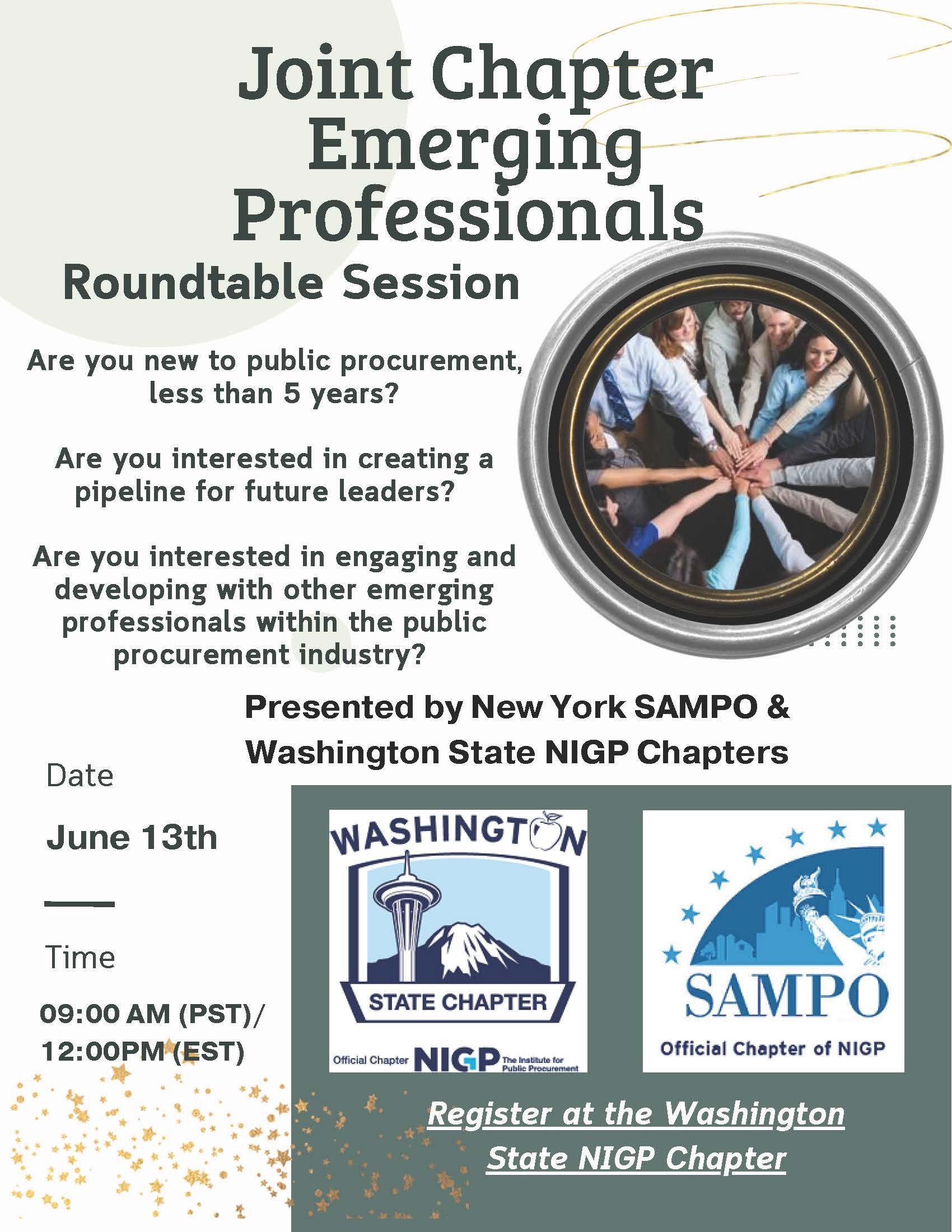 Joint Chapter Emerging Professionals Roundtable Session - Events - New ...