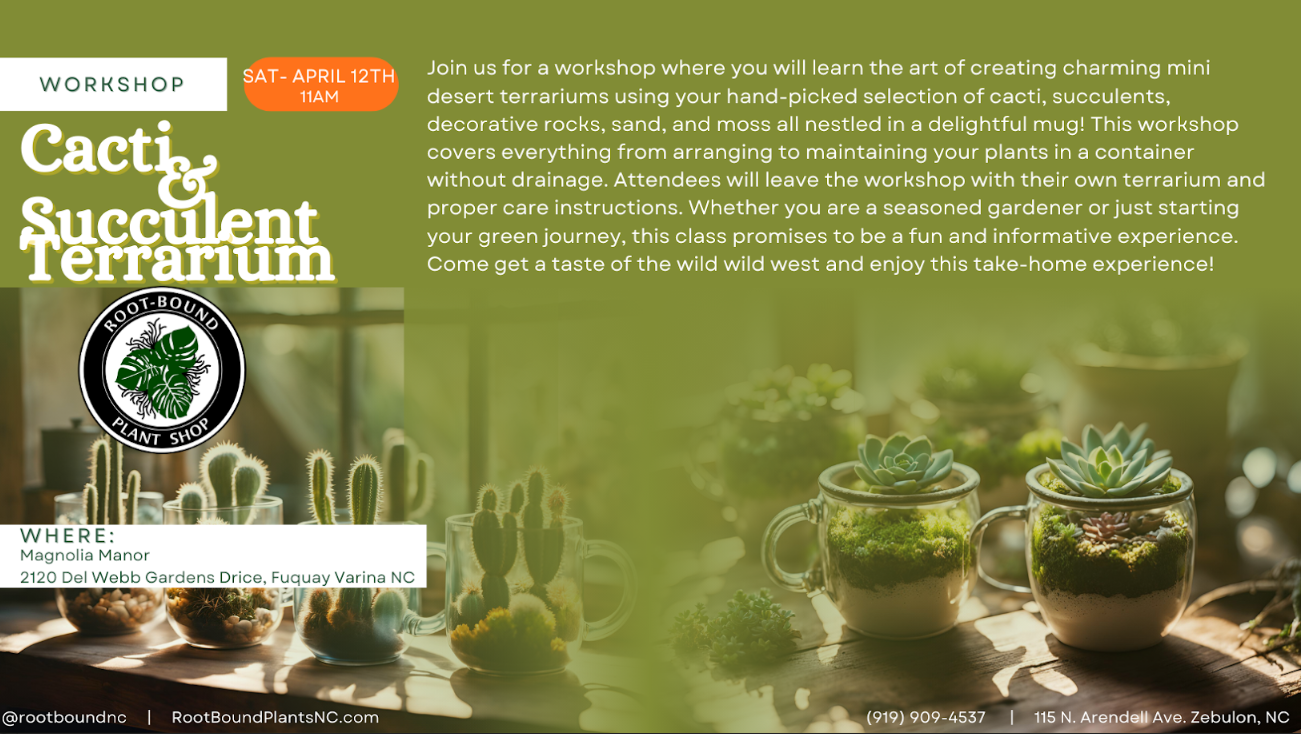 Cacti & Succulent Terrarium Workshop - Events - Carolina Gardens by Del Webb
