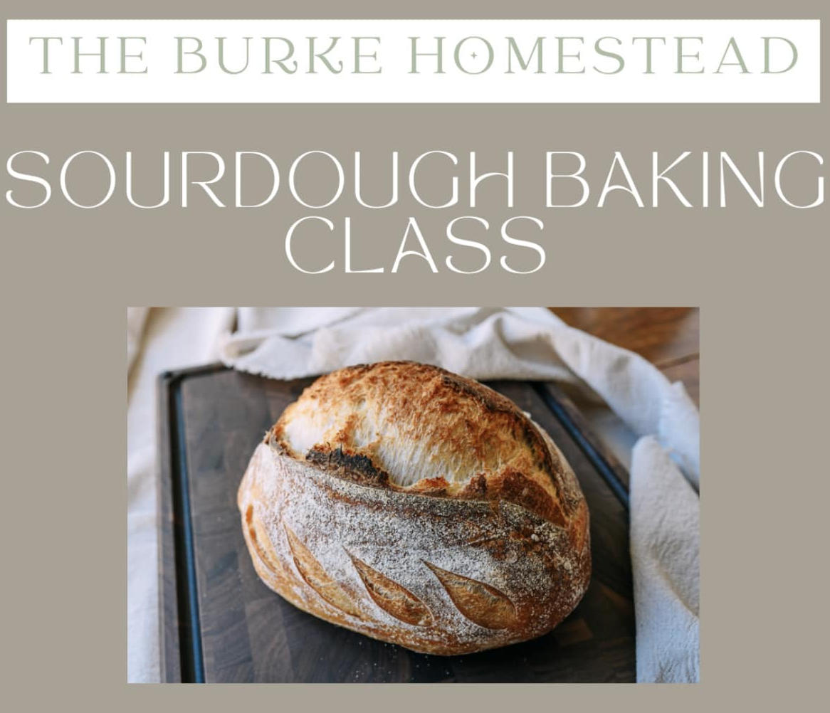 Sourdough Workshop - Events - Carolina Gardens by Del Webb