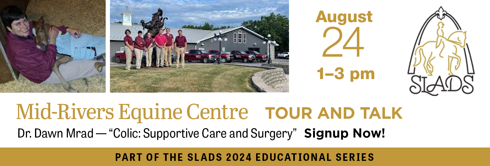 Home - St. Louis Area Dressage Society