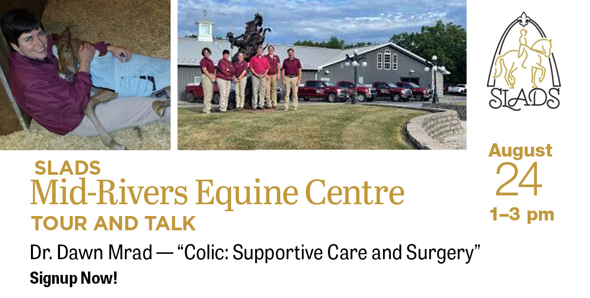 Home - St. Louis Area Dressage Society