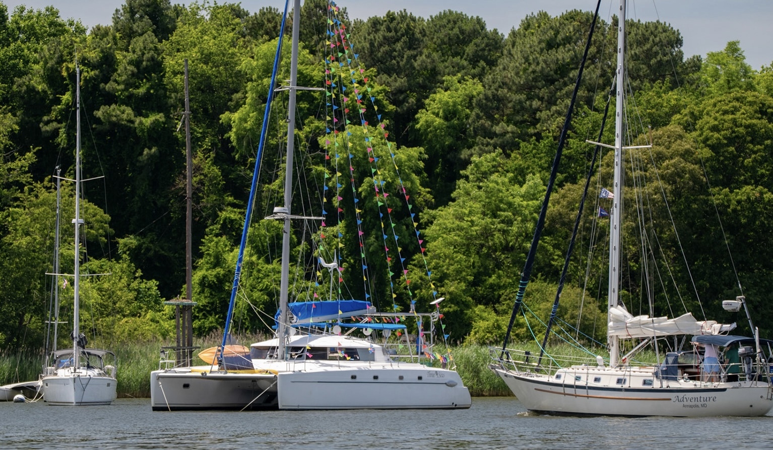 Color Cruise & Host a Cruise in 2025 - Herrington Harbour Sailing ...