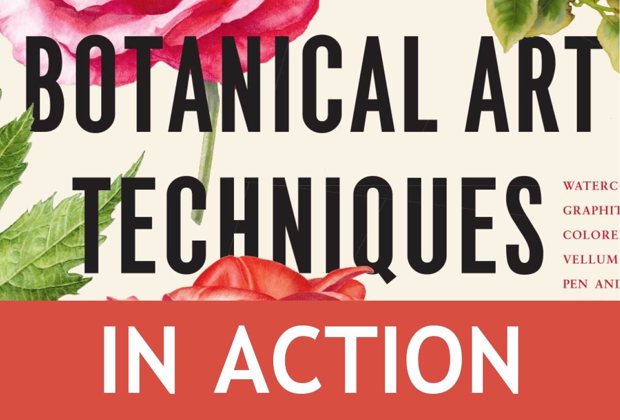 Botanical Art Techniques in Action - American Society of Botanical Artists