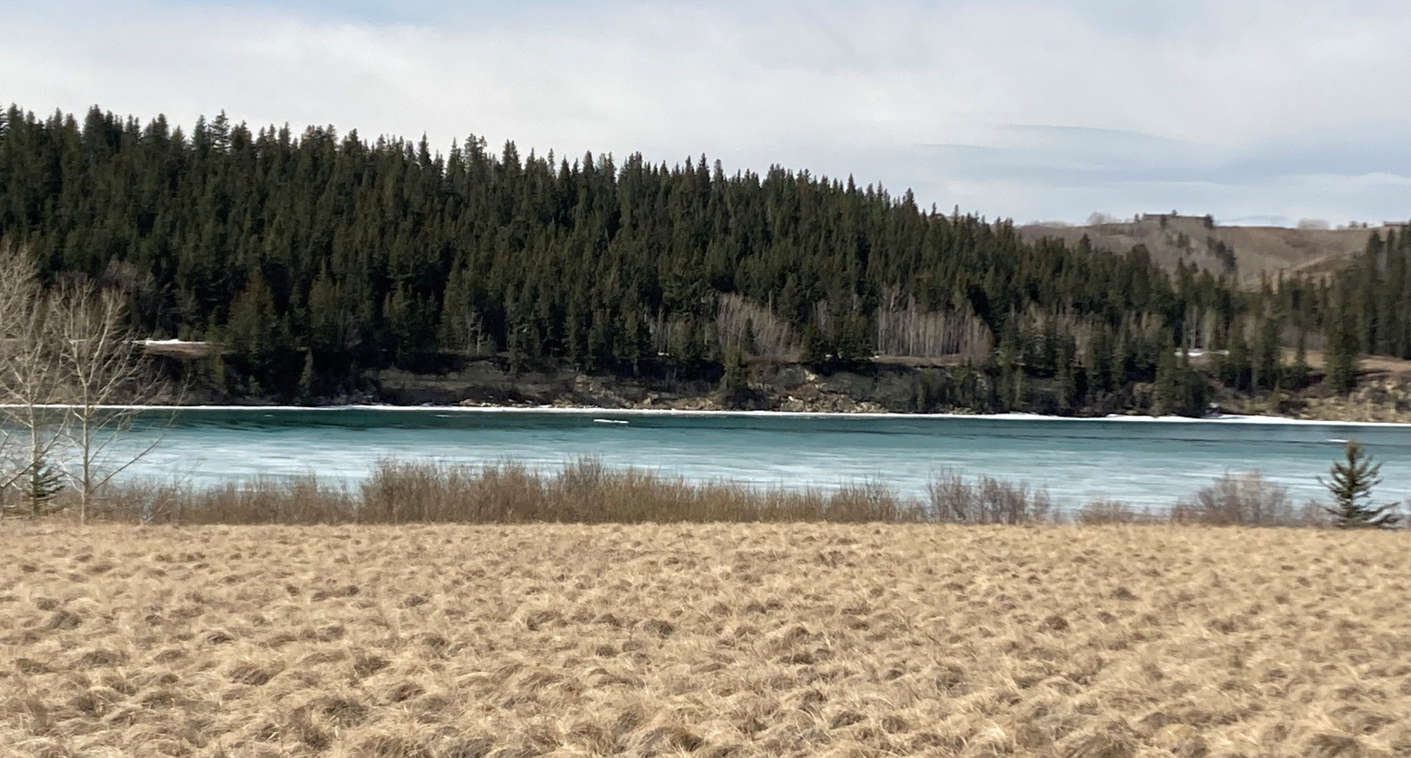 Near and Dear Haskayne Legacy Park and Glenbow Ranch - Events - Calgary ...